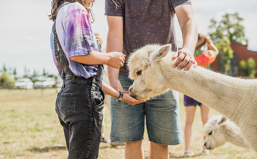 The power of digital adoptions for zoos and wildlife parks | N-gage.io